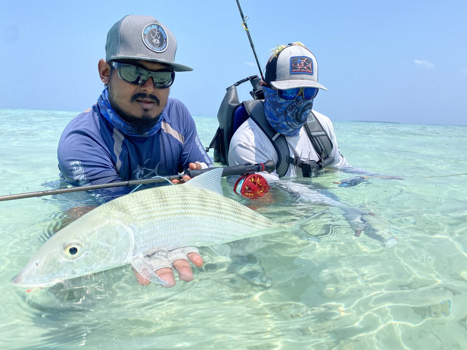 Bonefish - FlyFishing Maldives